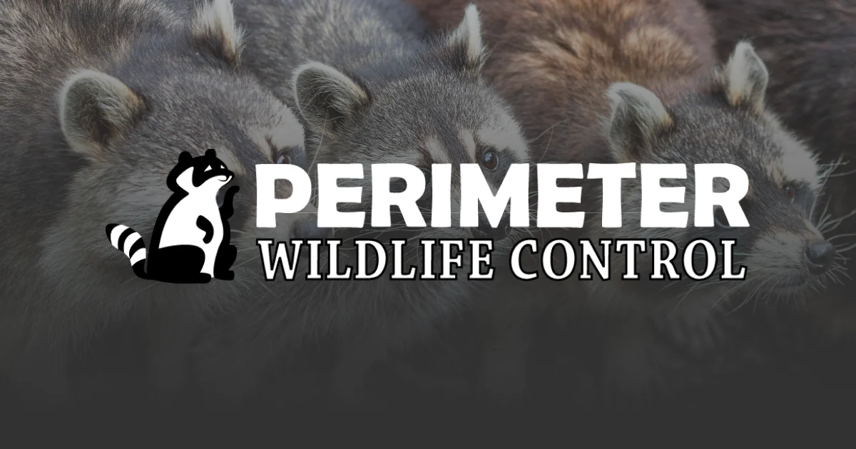Pest Removal Atlanta Blog | Perimeter Wildlife Control
