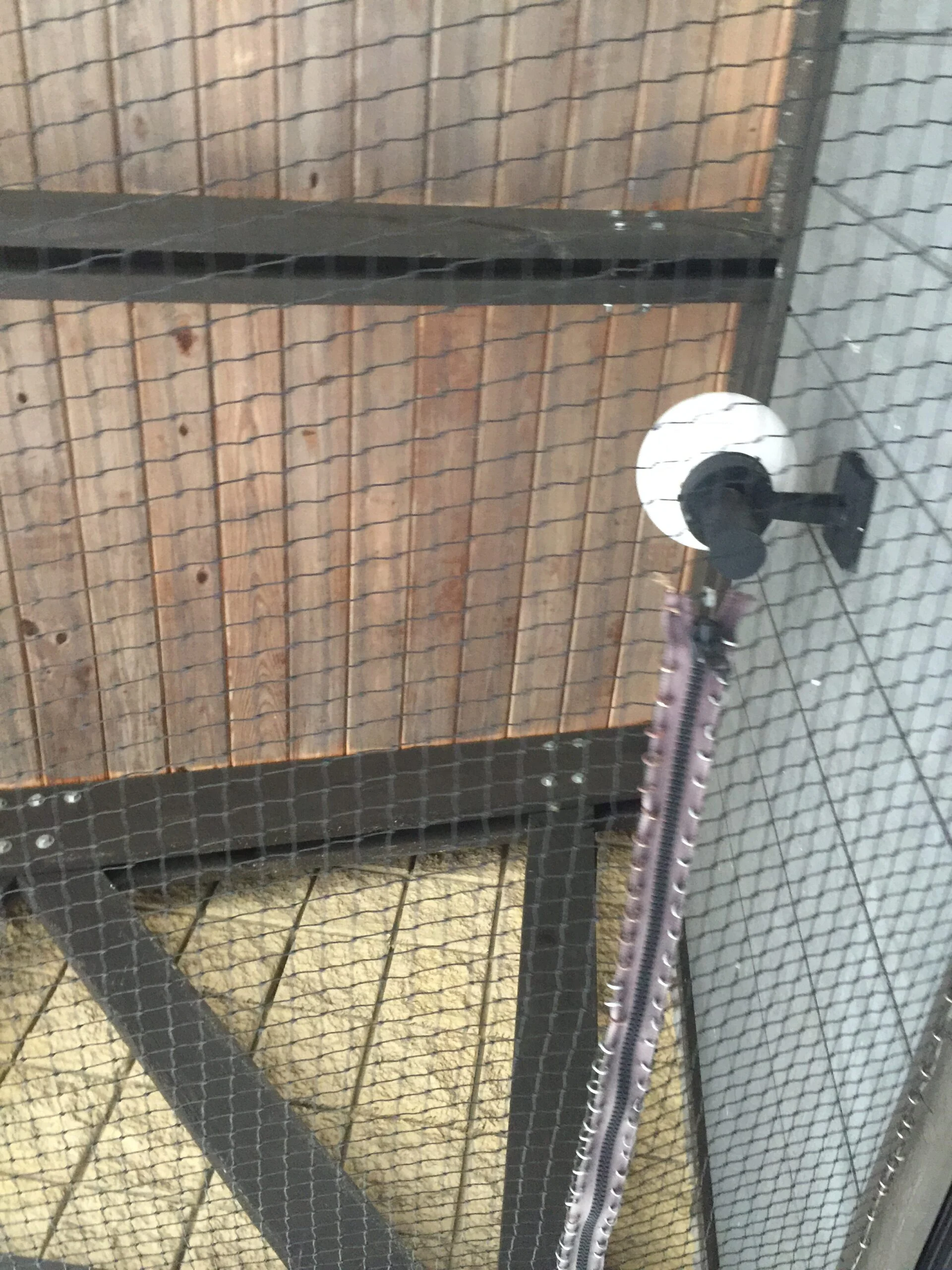 Bird Control & Bird Removal | Perimeter Wildlife Control